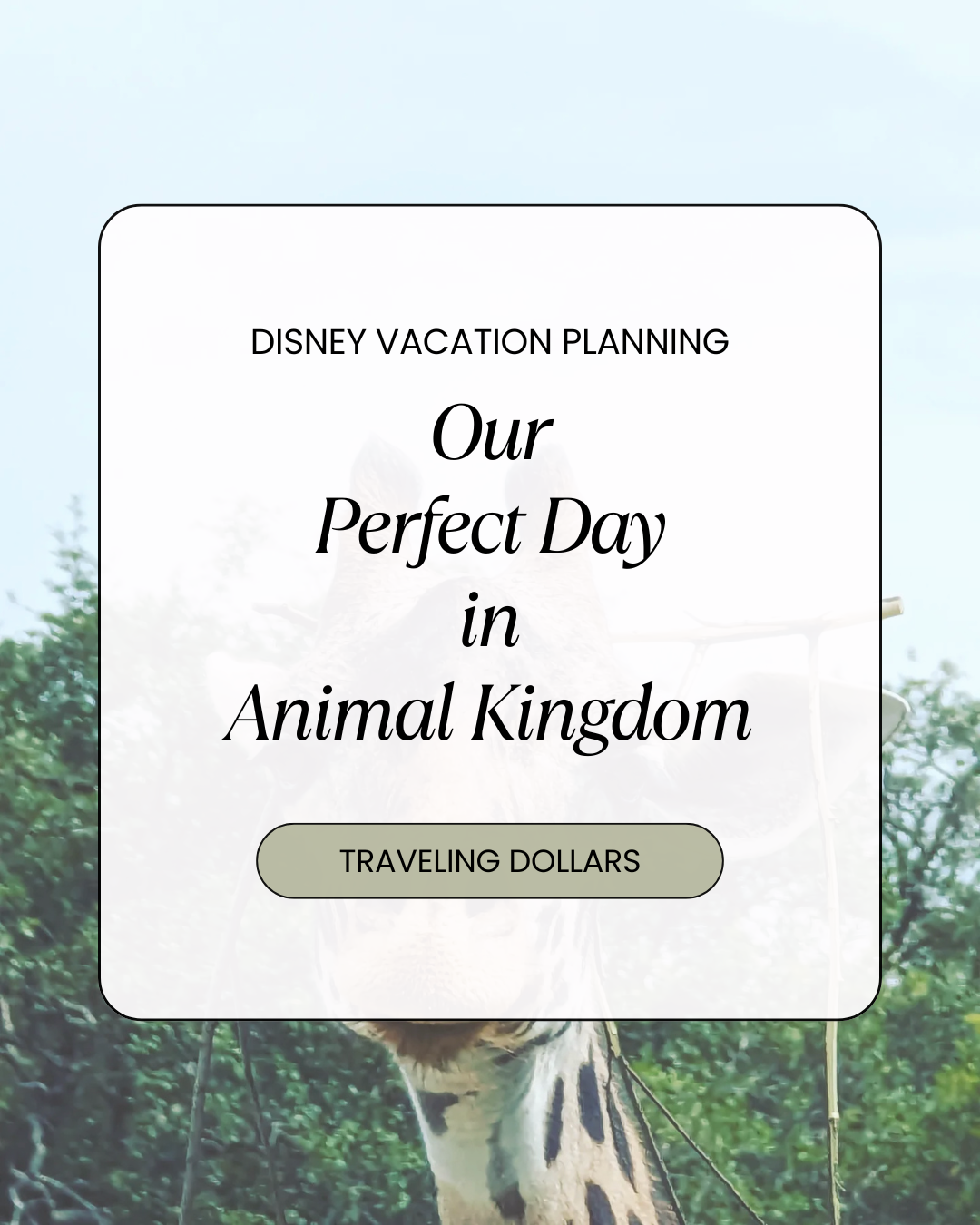 A Perfect Day in Disney’s Animal Kingdom – Traveling Dollars